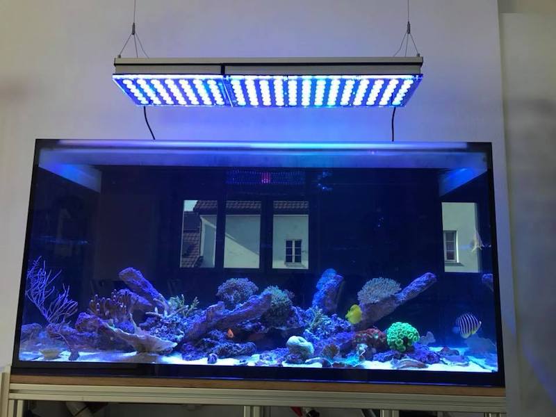 What Aquarium LED lights do I choose for my aquarium? •Orphek